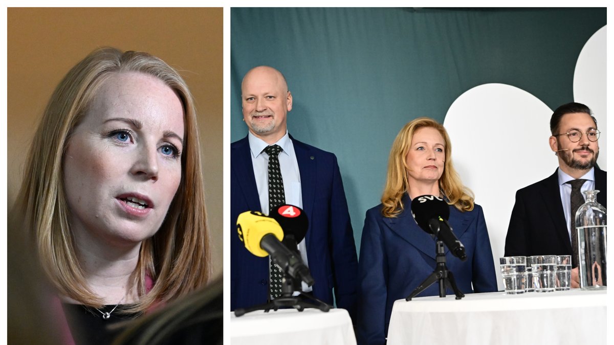 Klart: De gör upp om partiledarposten efter Annie Lööf